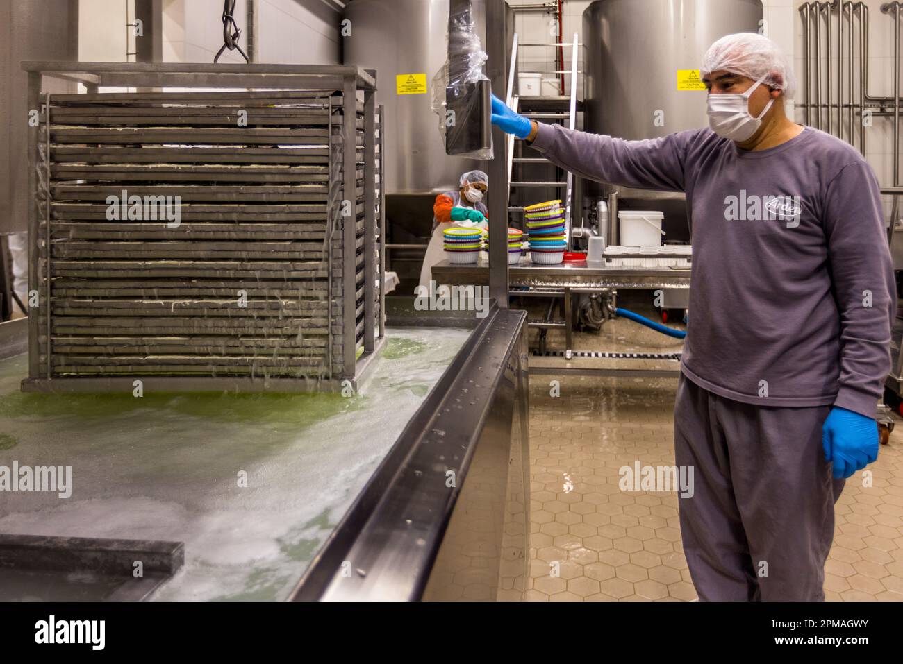 Dairy and hellim (halloumi) cheese production in Nicosia, Cyprus Stock ...