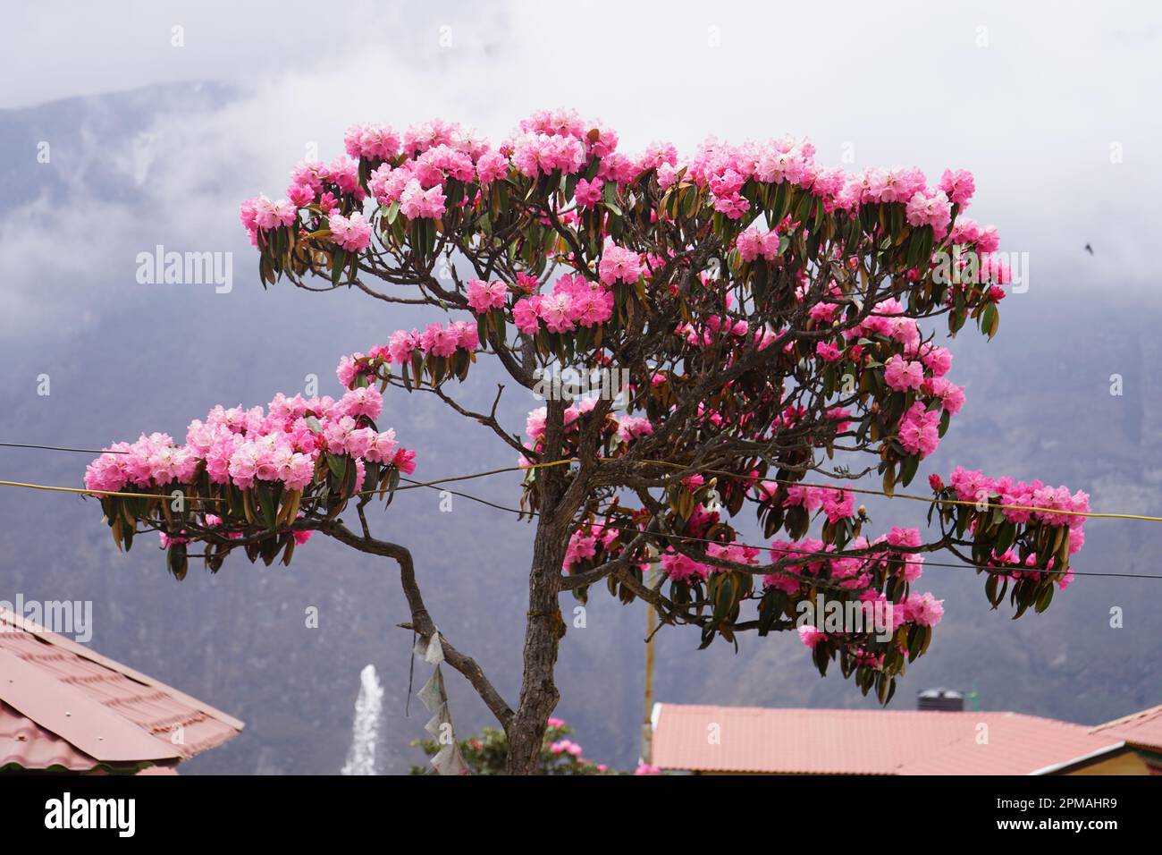 Everest memorial hi-res stock photography and images - Alamy