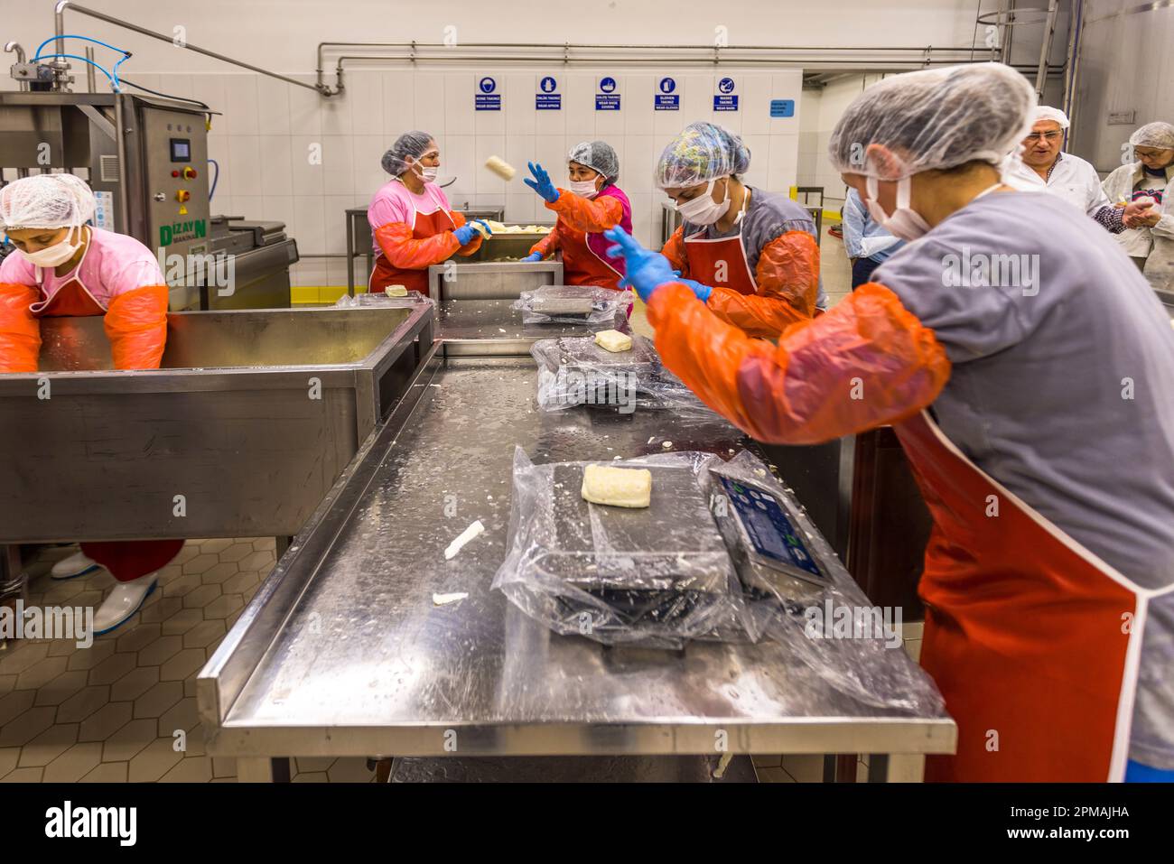 Dairy and hellim (halloumi) cheese production in Nicosia, Cyprus Stock ...