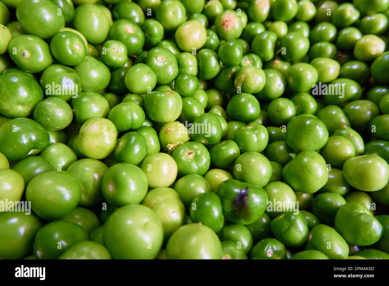Miltomate hi-res stock photography and images - Alamy