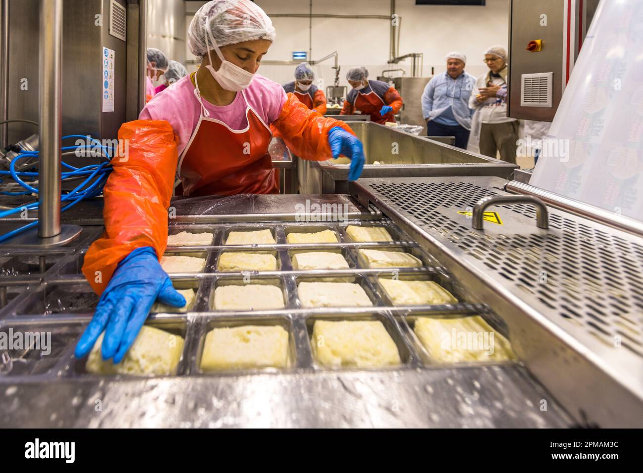 Dairy and hellim (halloumi) cheese production in Nicosia, Cyprus Stock ...