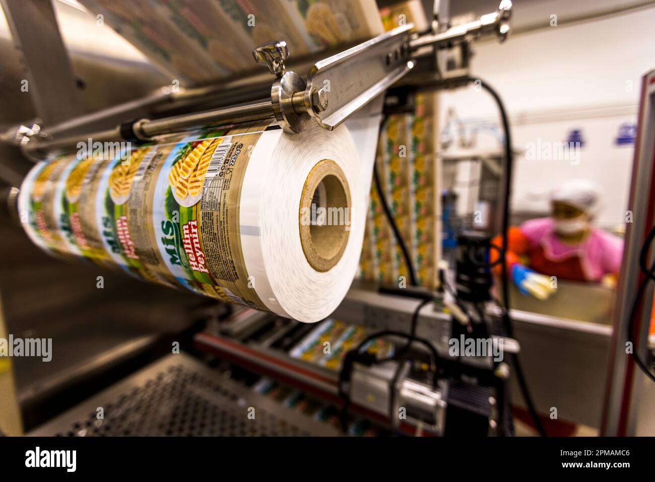Dairy and hellim (halloumi) cheese production in Nicosia, Cyprus Stock ...