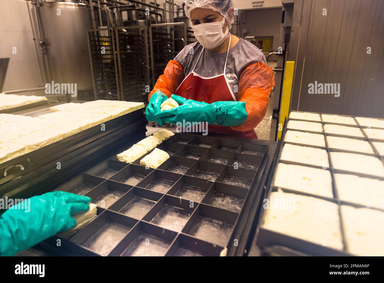 Dairy and hellim (halloumi) cheese production in Nicosia, Cyprus Stock ...