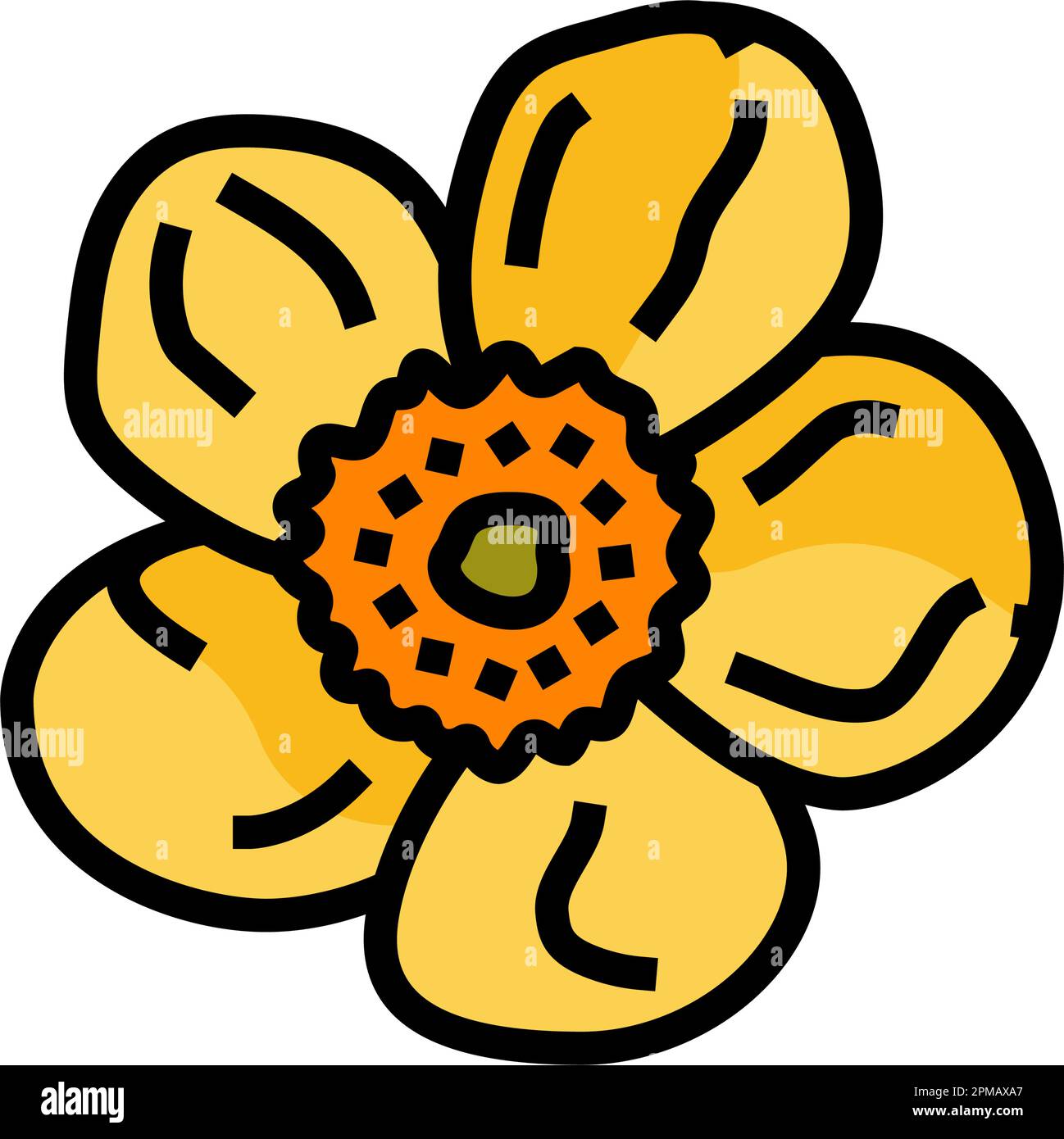 Buttercup color Stock Vector Images - Alamy