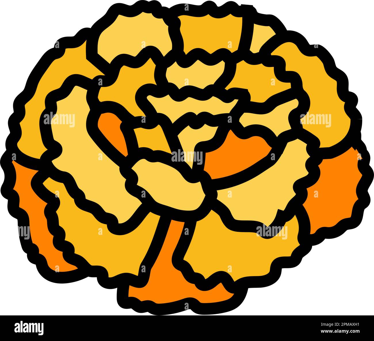 marigold blossom spring color icon vector illustration Stock Vector ...