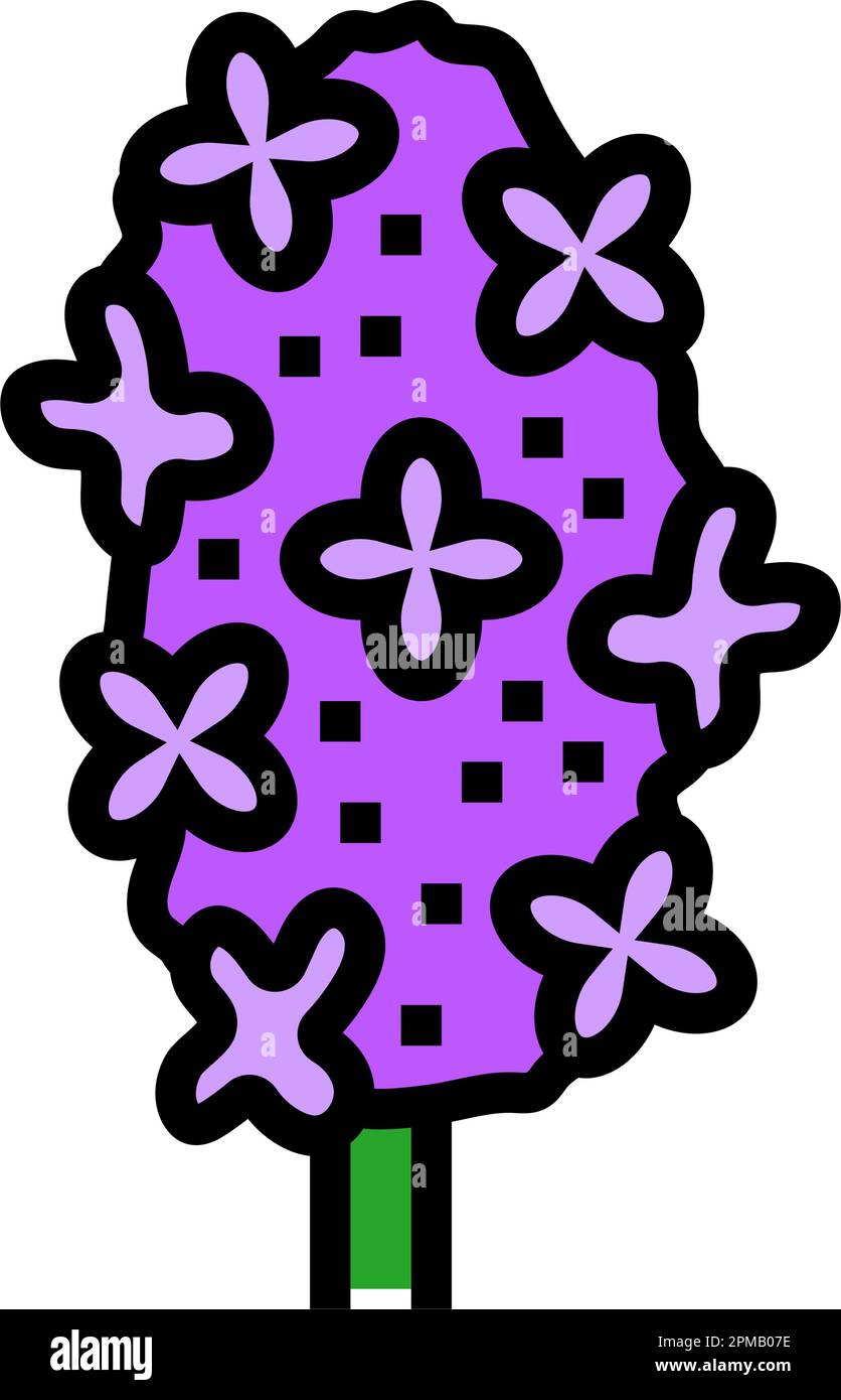 lilac flower spring color icon vector illustration Stock Vector Image ...