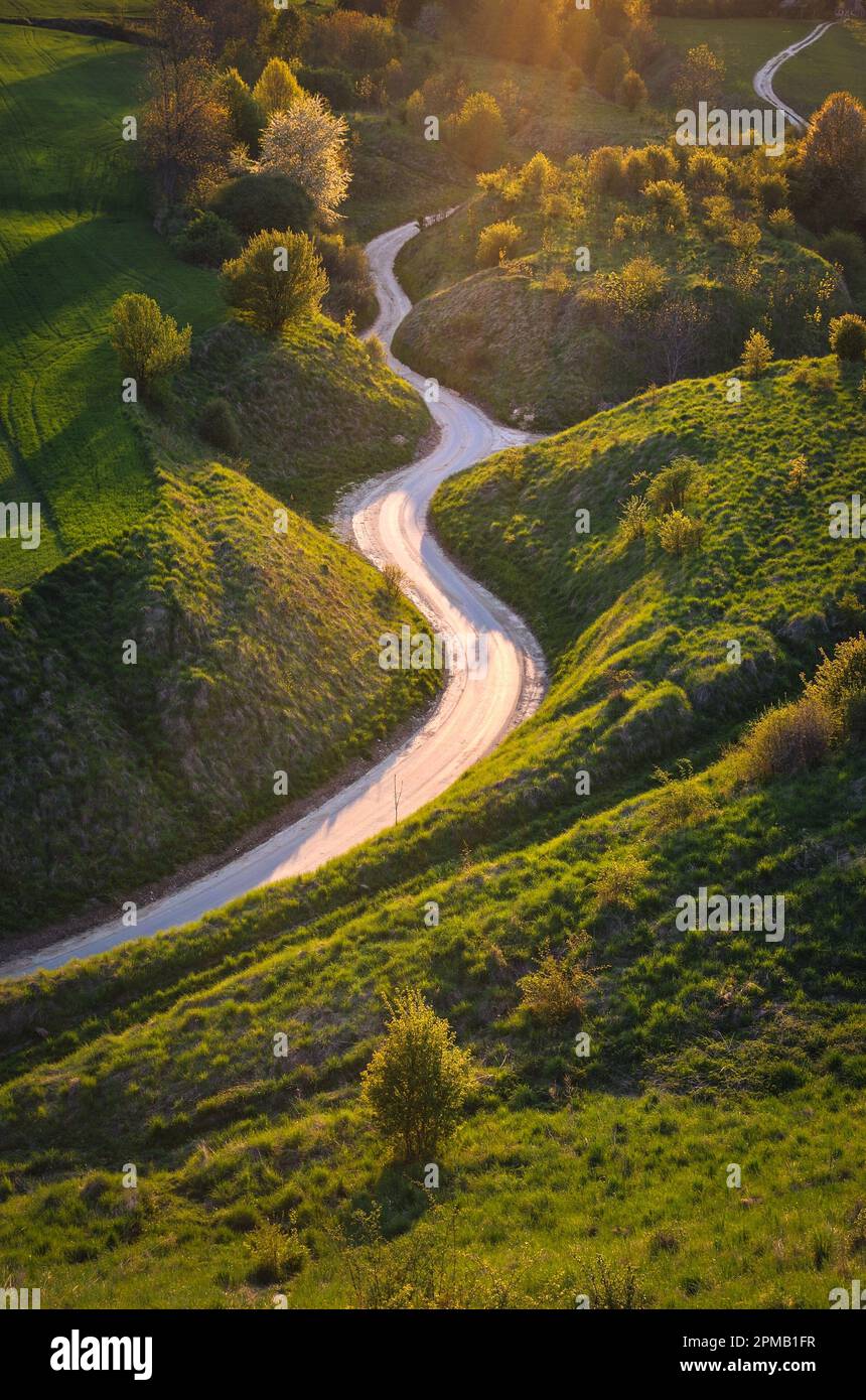 Beautiful spring landscape among green hills. Charming winding road ...