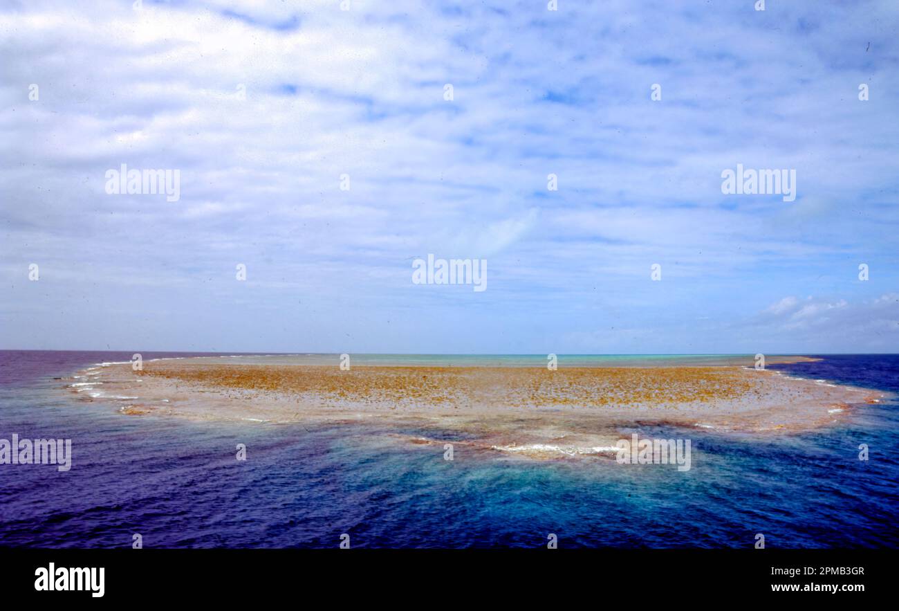 Osprey Reef ("North Horn" in the Coral Sea on 26th July 1991, shortly ...