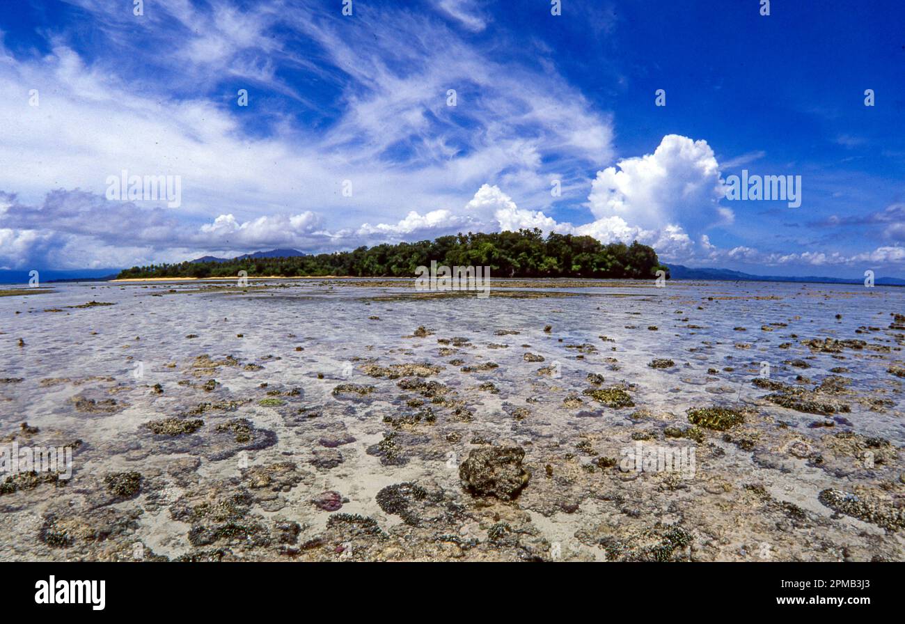 The exposed reef flat off the island of Siladen (Bunaken NP), North ...