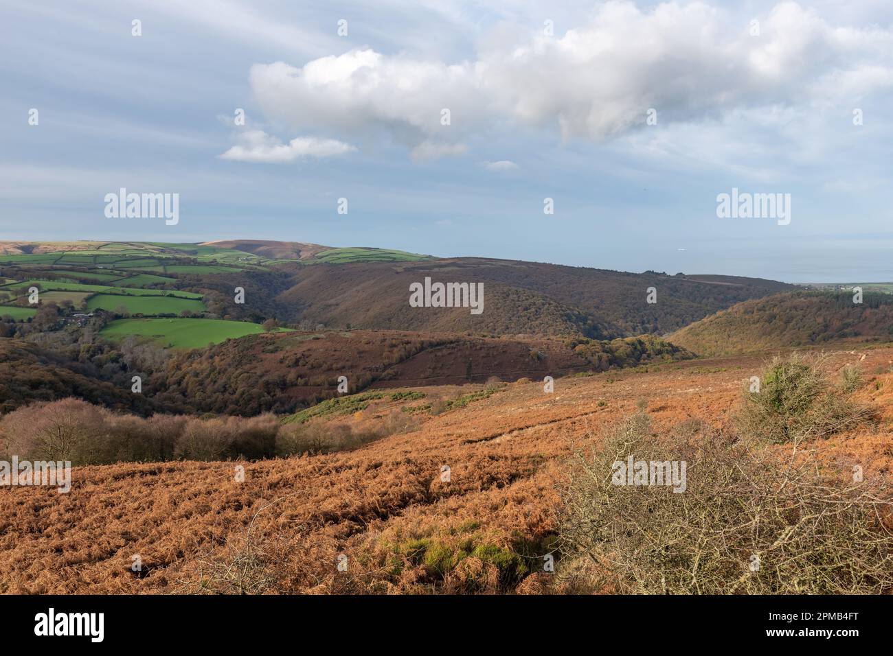 Landscape photo of the autumn colours at Horner woods in Exmoor ...