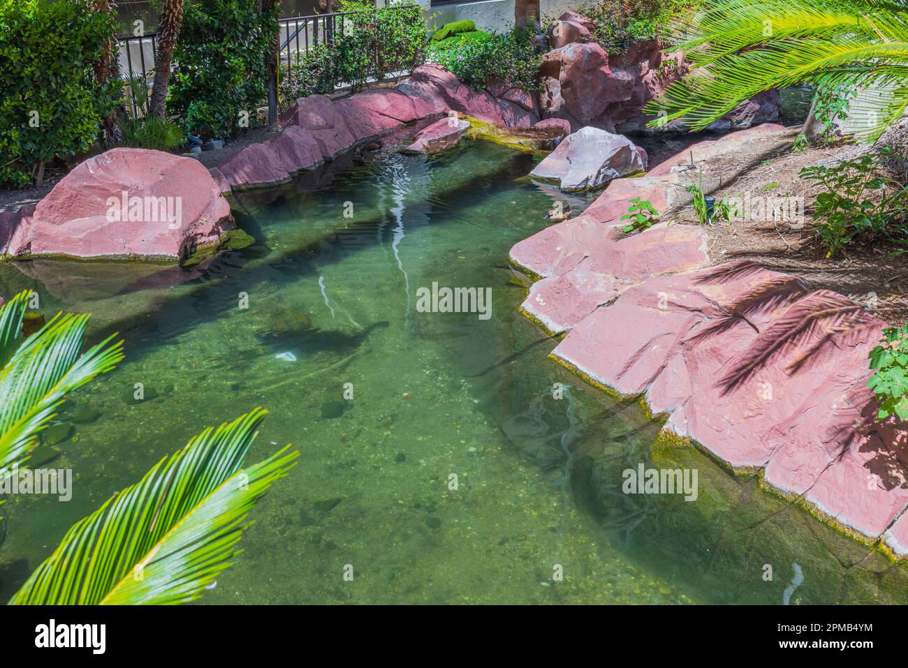 Close up view of design of artificial pond in garden with tropical ...
