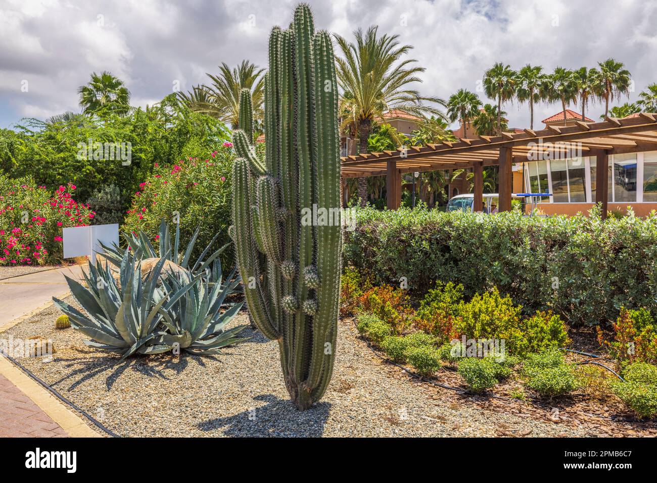 Beautiful view of garden landscape design with tropical plants. Aruba ...