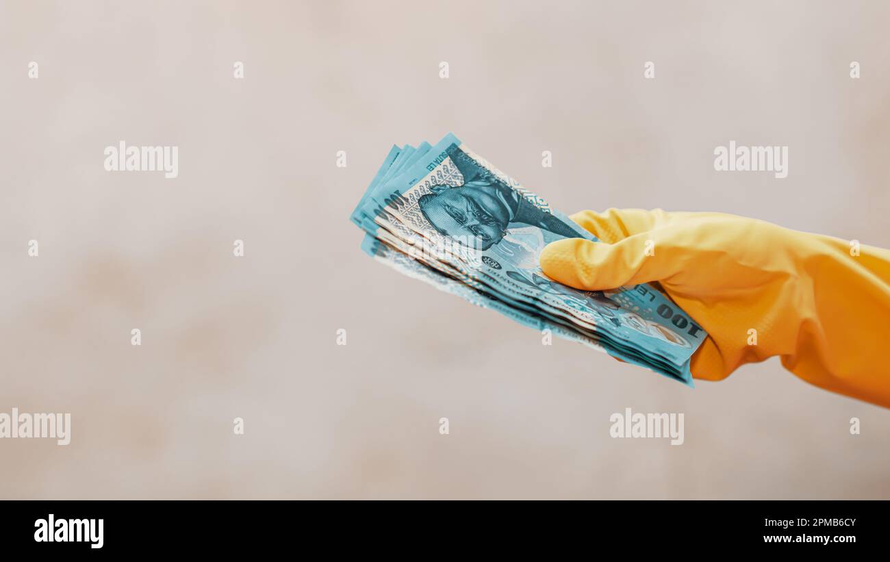 Romanian LEI Currency Banknote. RON Money European Currency Stock Photo ...