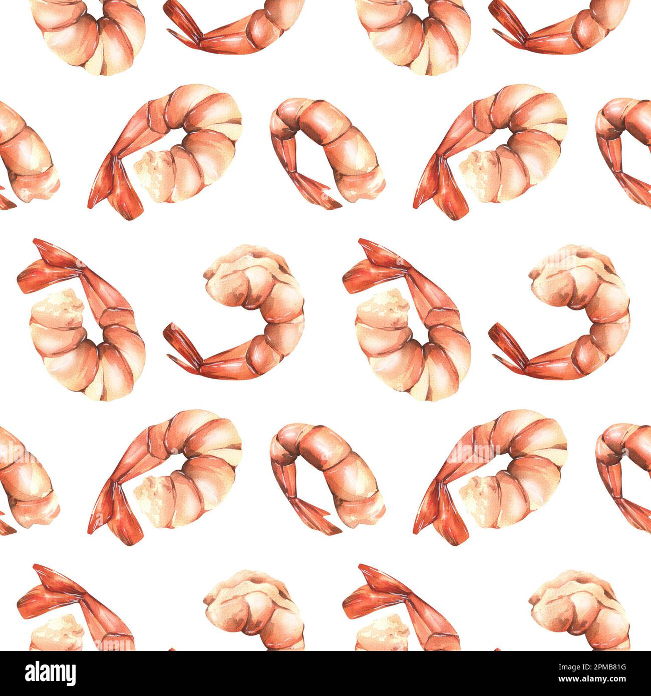 Boiled, peeled shrimp with tails on a white background. Watercolor ...