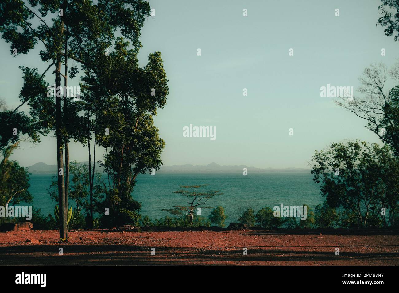 Island view with green forest trees, sea and mountains on background ...