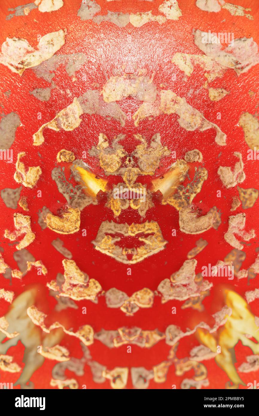 Mushroom amanita muscaria known as fly agaric with bright red hat and ...