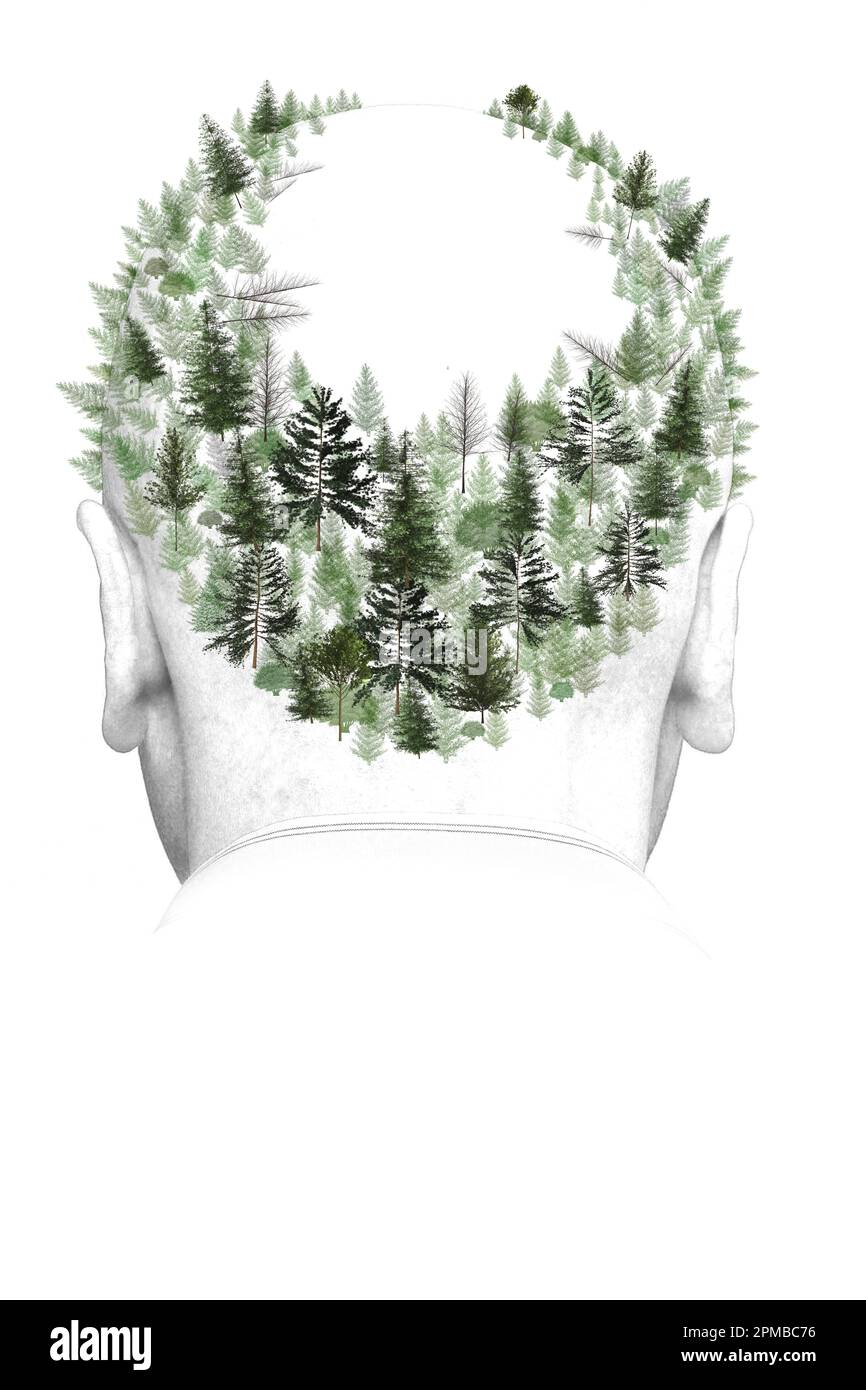 Victory in nature Cut Out Stock Images & Pictures - Alamy