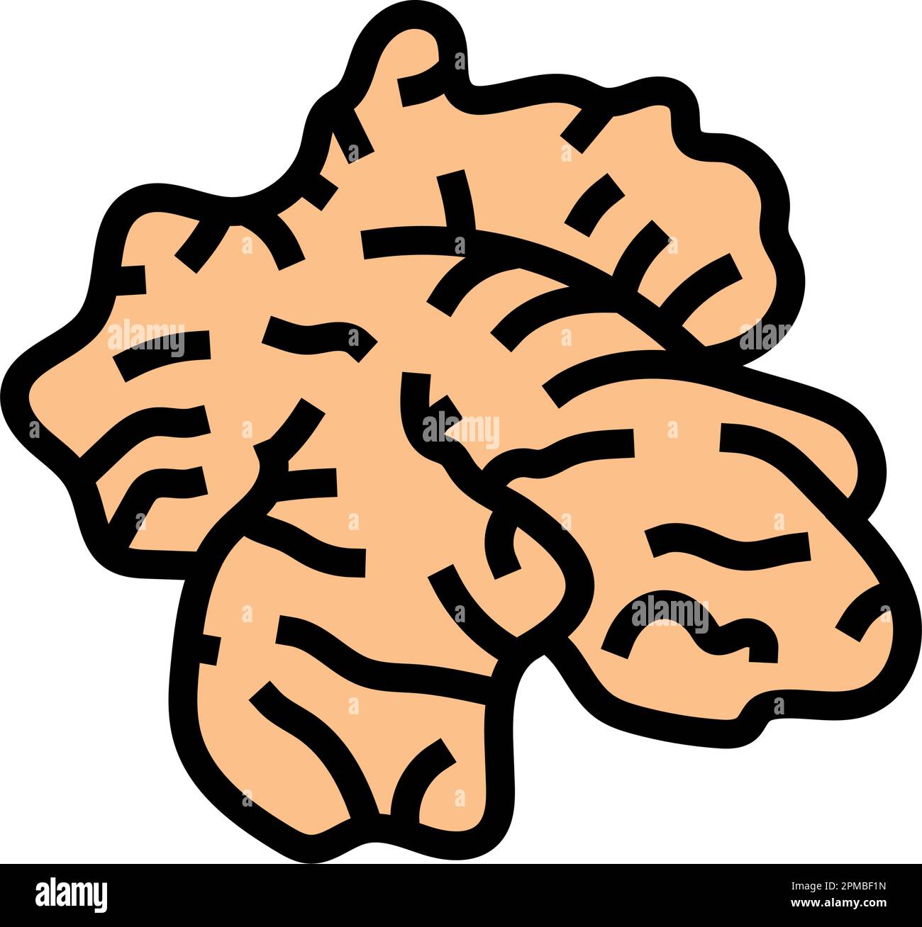 ginger food herb color icon vector illustration Stock Vector Image ...