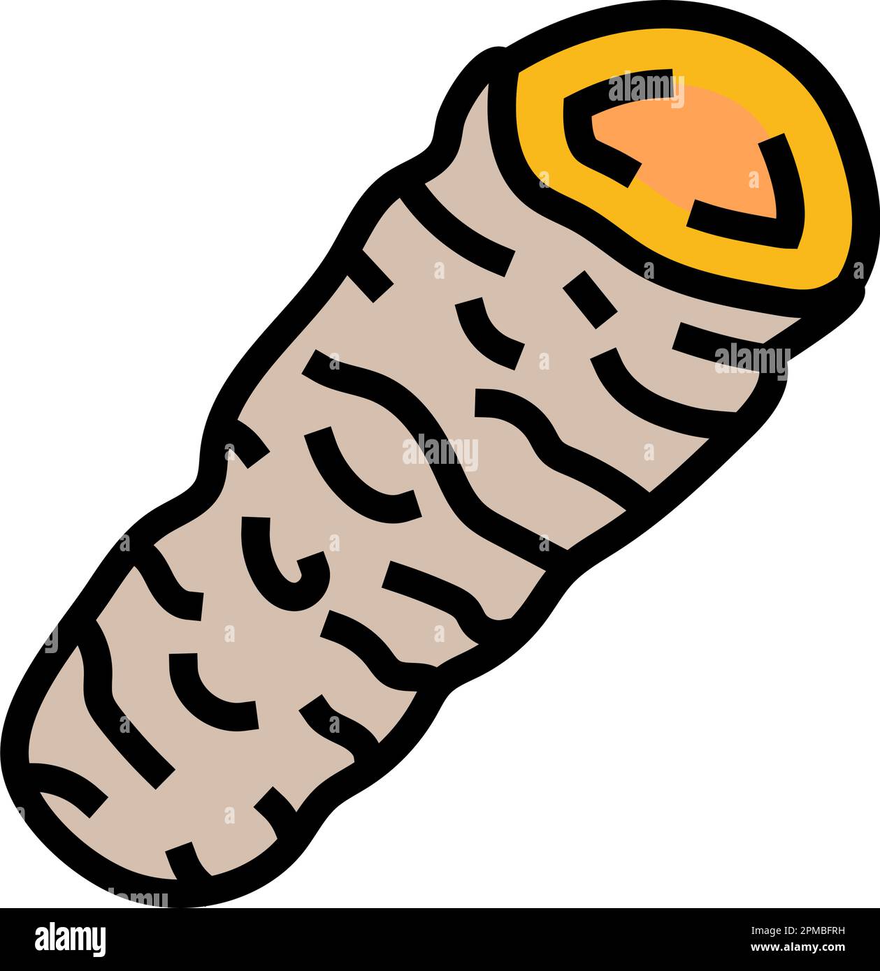 Rosemary herb turmeric spice Stock Vector Images - Alamy