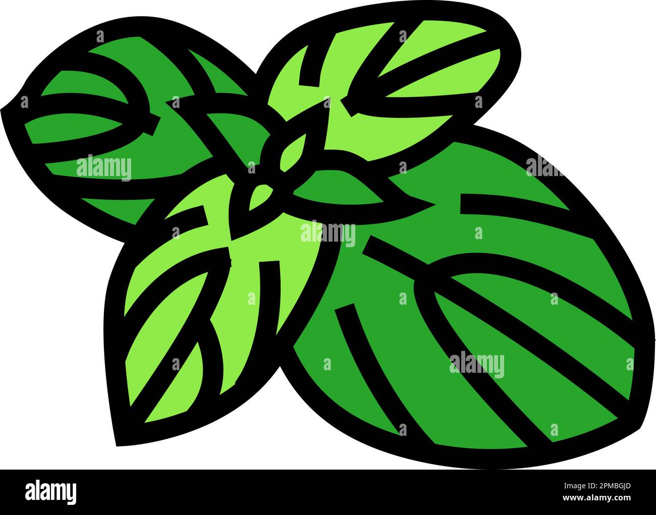 basil food herb color icon vector illustration Stock Vector Image & Art ...