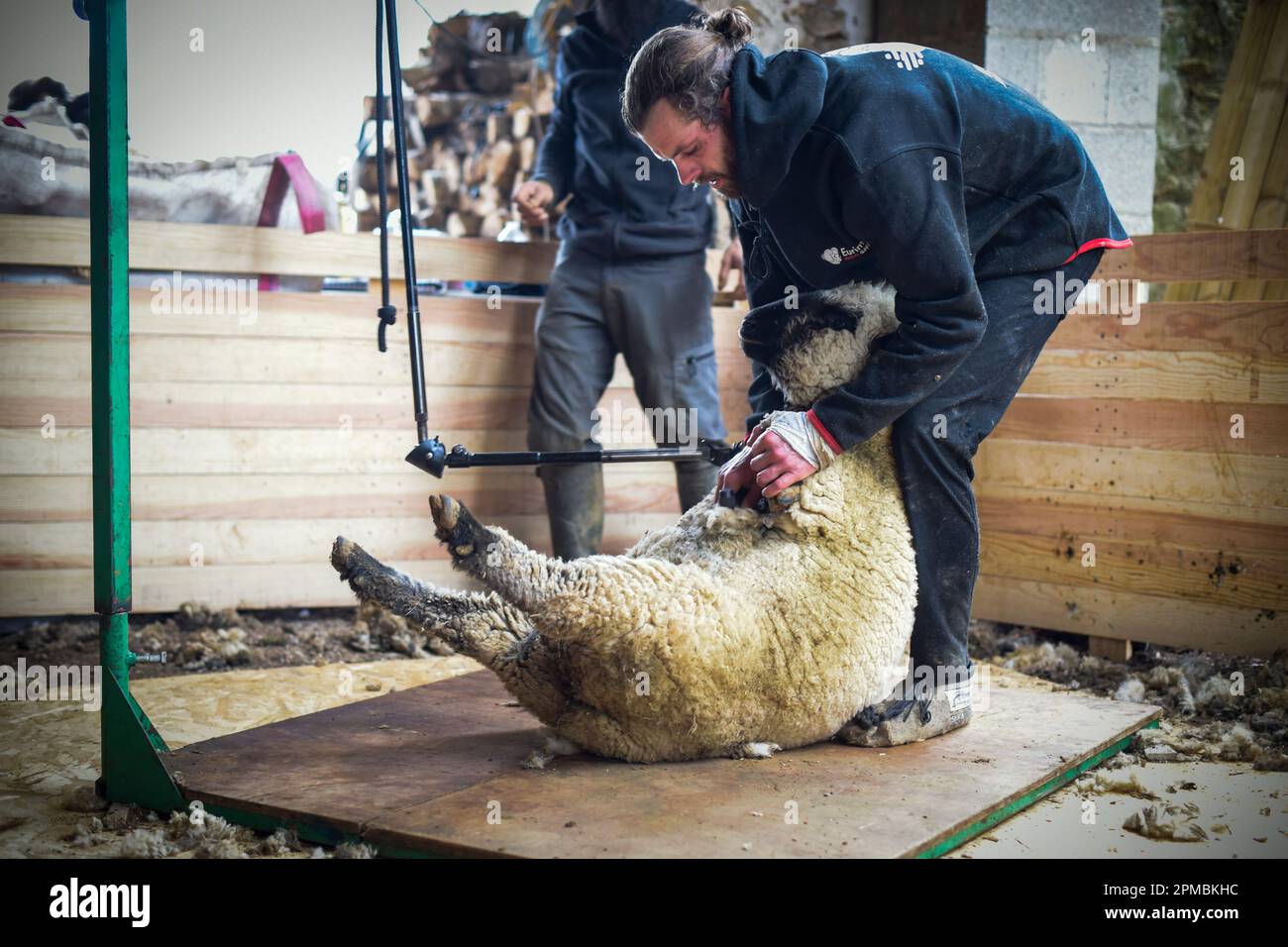 view on a breeder who is shearing his sheep on his barn in France Stock ...
