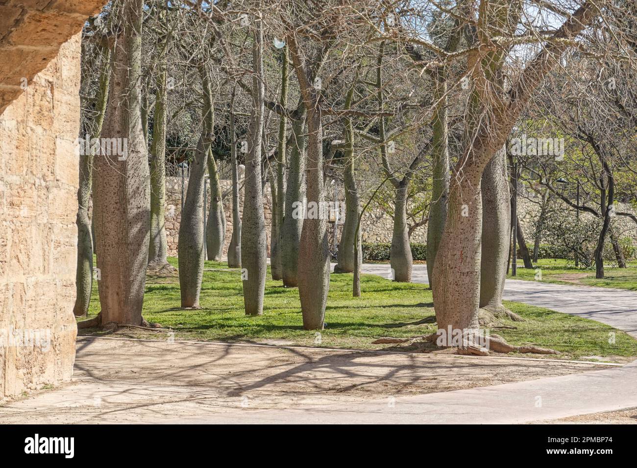 Valencia, Turia-Park // Valencia, Turia Gardens Stock Photo - Alamy