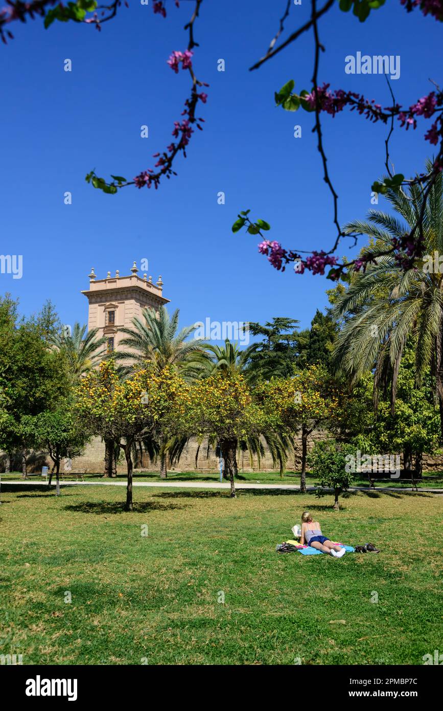 Valencia, Turia-Park // Valencia, Turia Gardens Stock Photo - Alamy