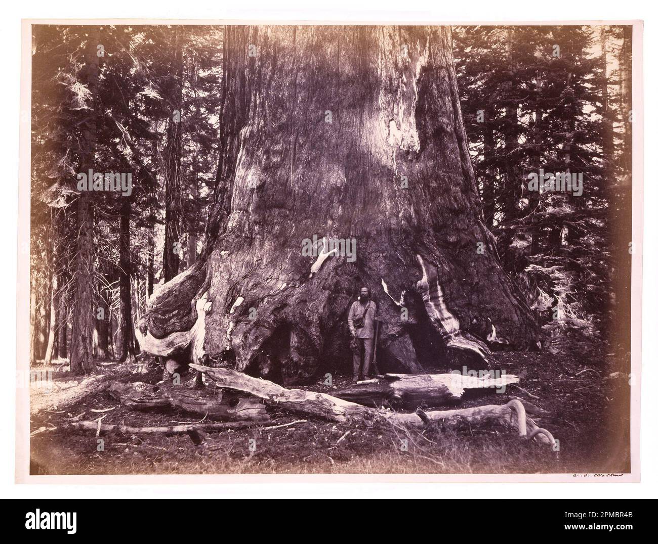 E 9 20 9 Cut Out Stock Images & Pictures - Alamy