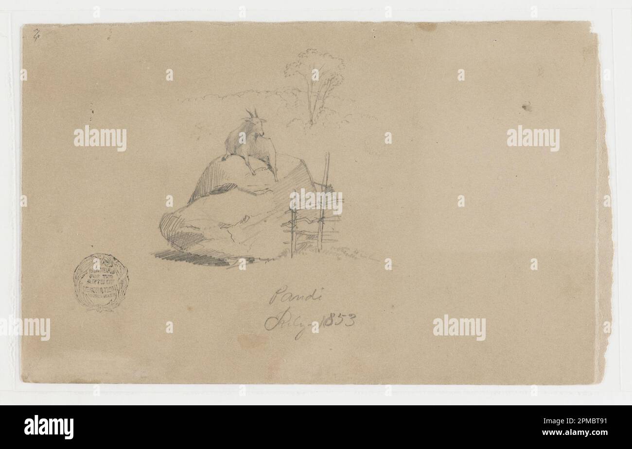 Drawing, A Goat in Pandi, Colombia; Frederic Edwin Church (American ...