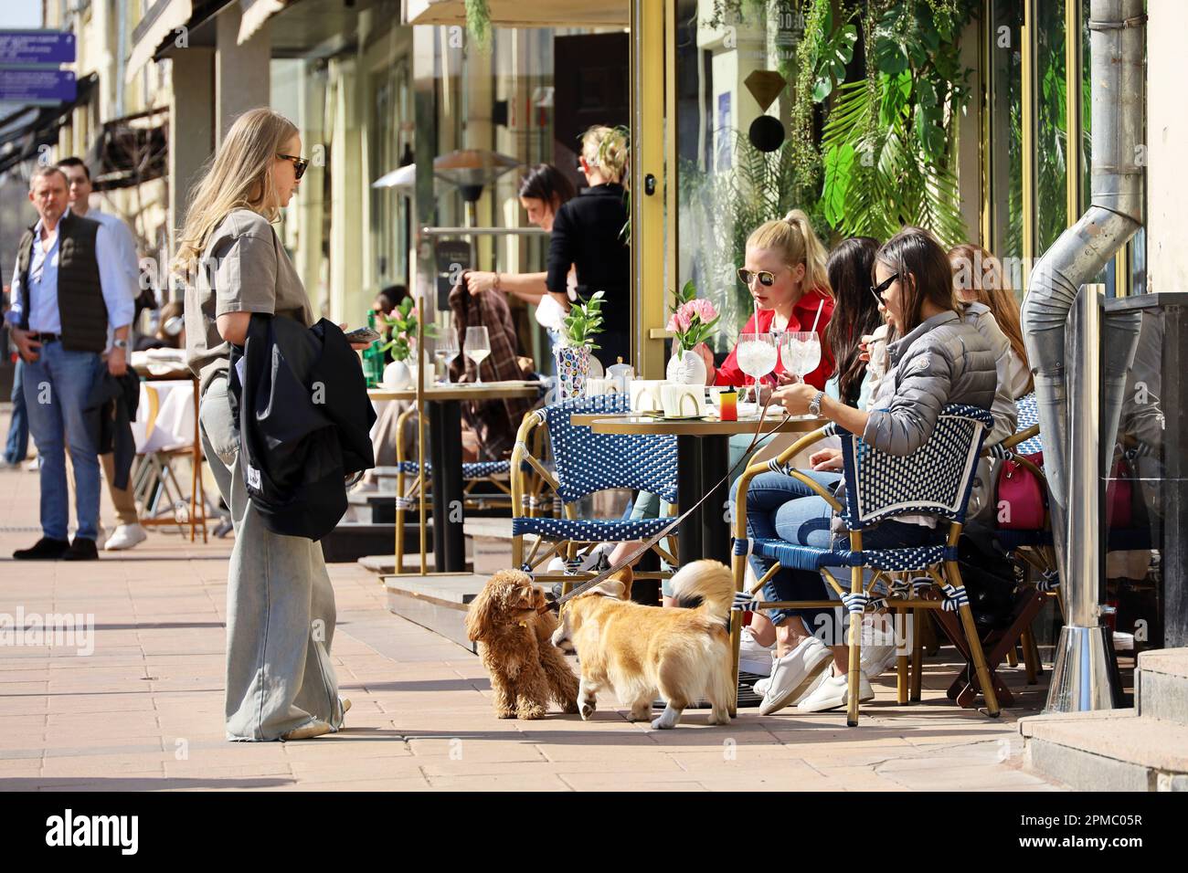 Girls talk sitting on terrace of street cafe with dogs on leashes. Life ...