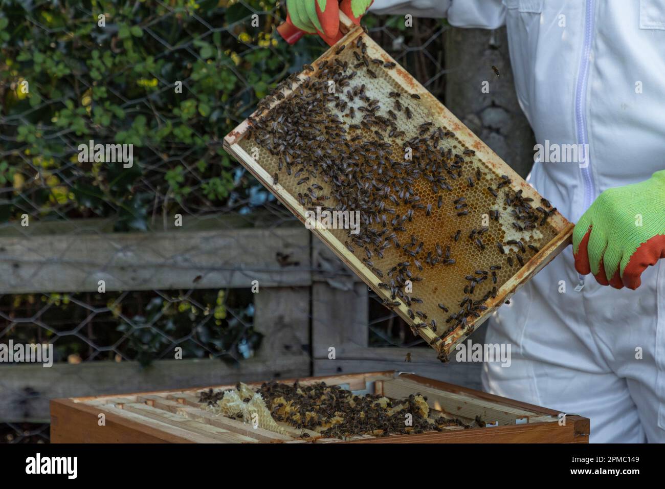 Checking wing hi-res stock photography and images - Alamy