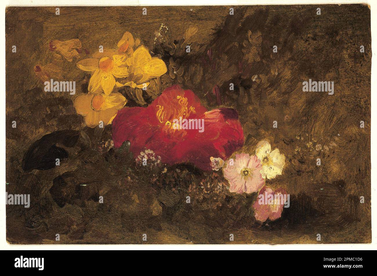 Drawing, Wild Flowers, Jamaica; Frederic Edwin Church (American, 1826 ...