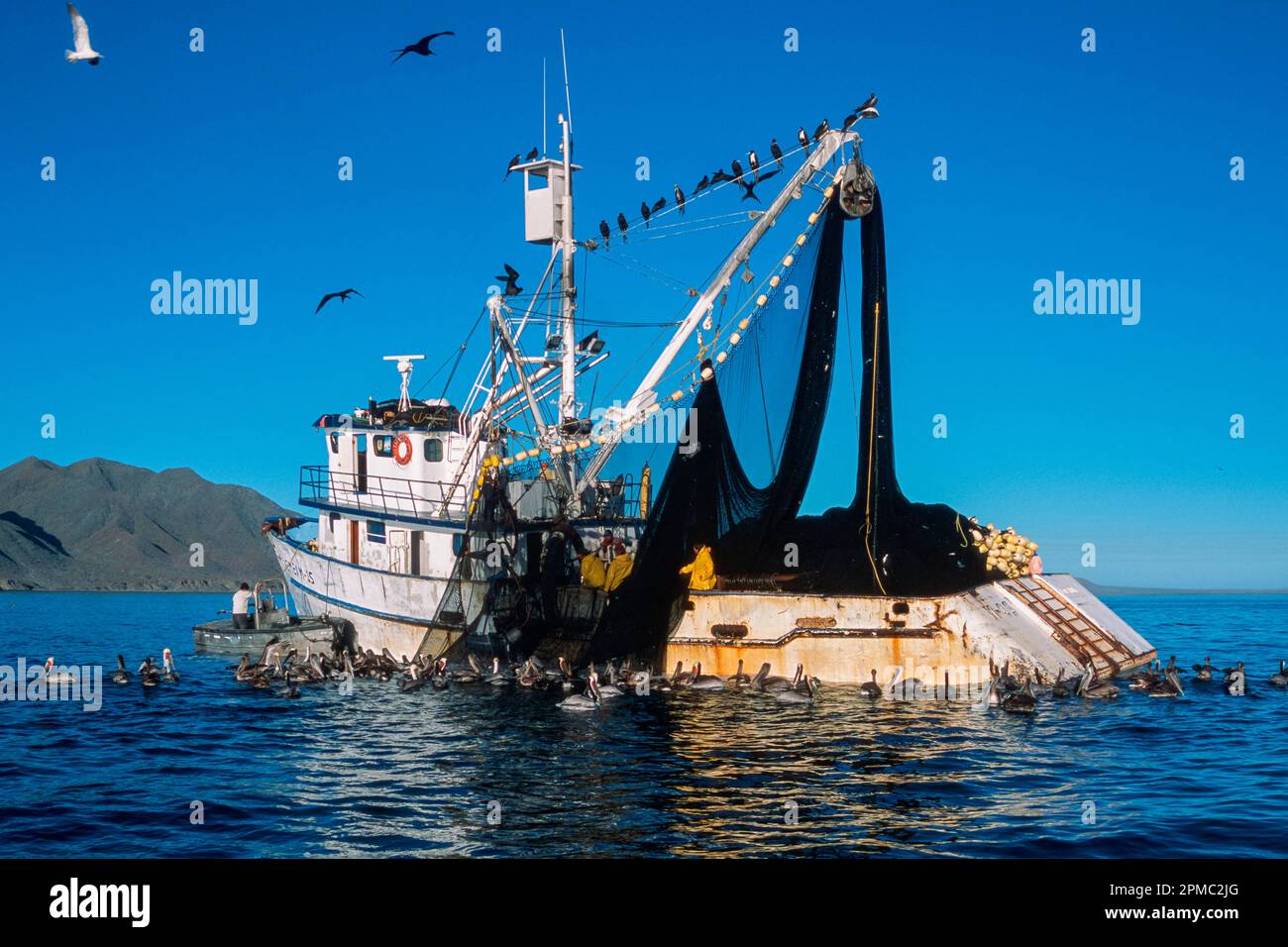 Sardine seiner, Magdalena Bay, Baja California, Mexico, Pacific Ocean ...