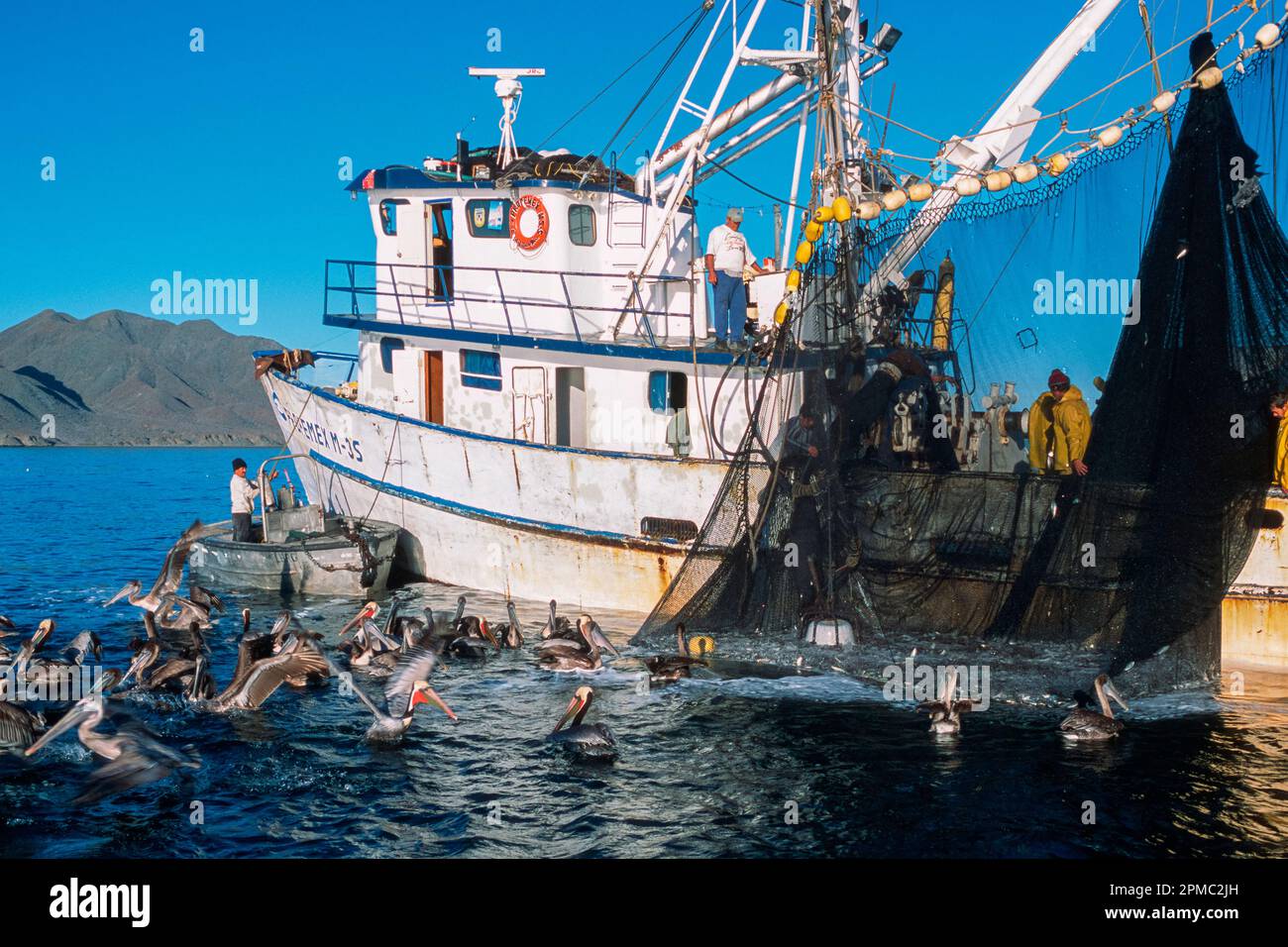 Sardine seiner, Magdalena Bay, Baja California, Mexico, Pacific Ocean ...