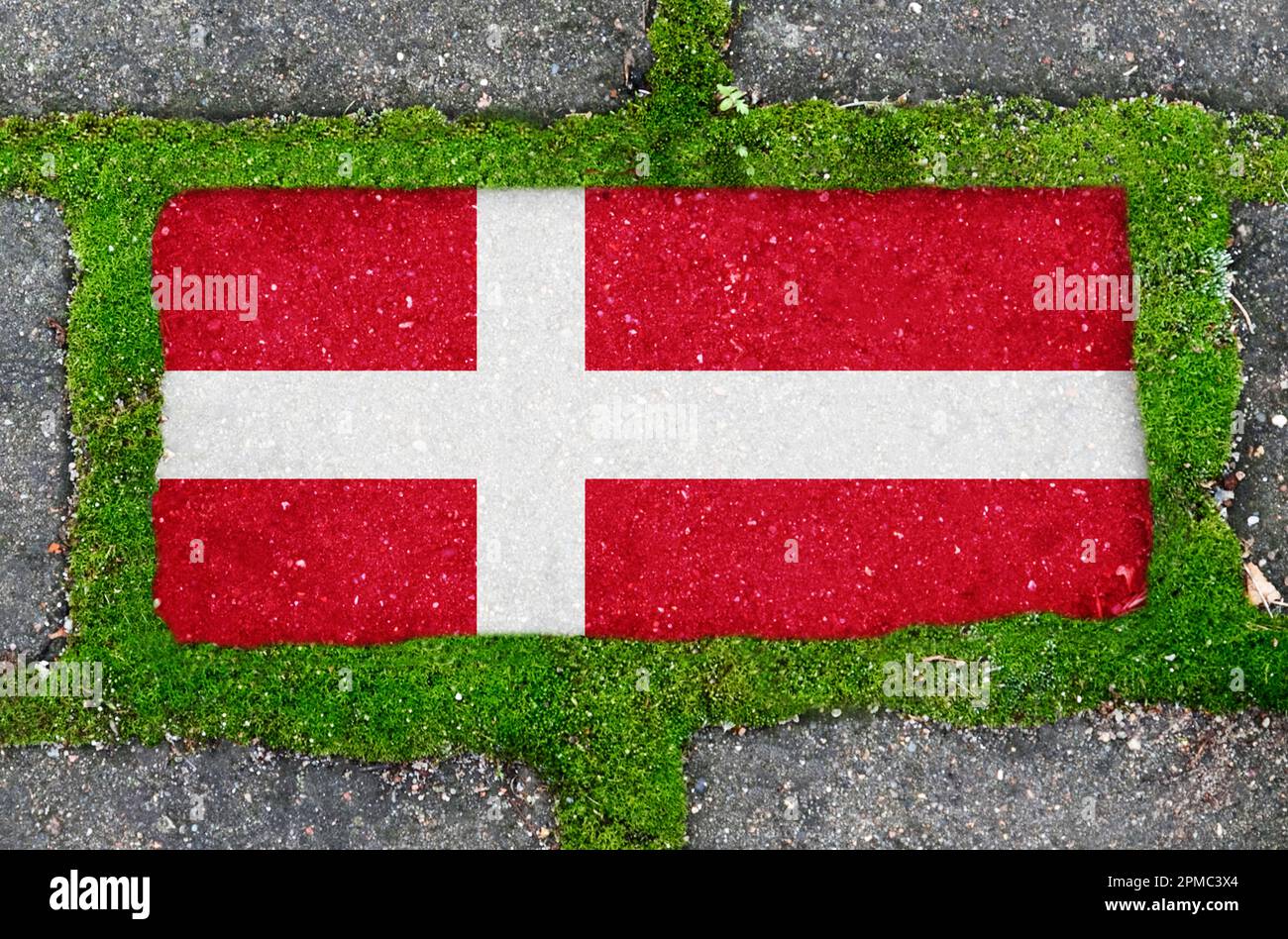 Ecological concept. On the sidewalk in green moss, paving slabs with ...