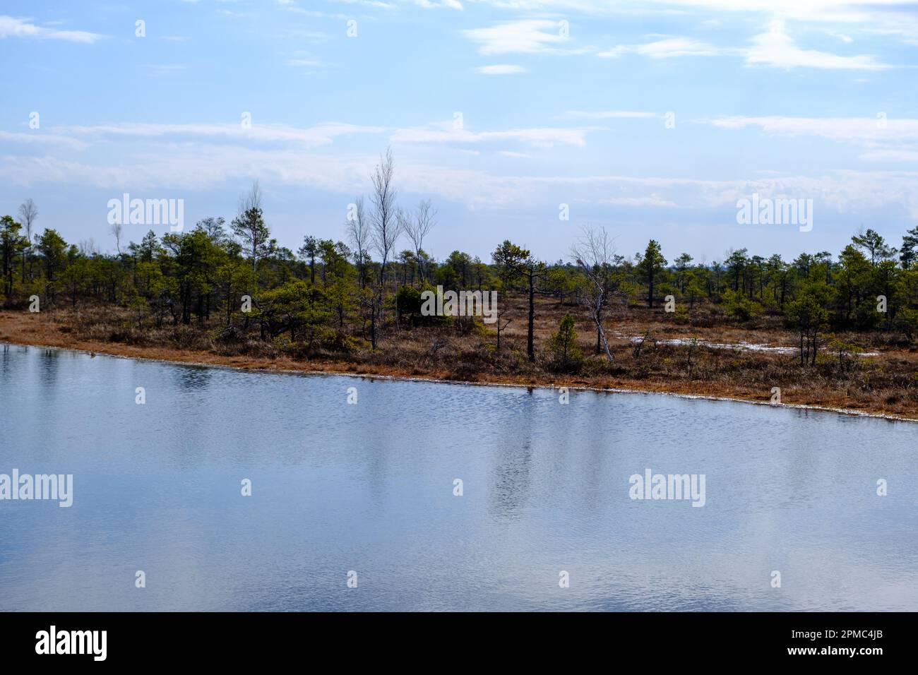 Kemeru swamp, national park with blue lake and trees, and bushes in ...