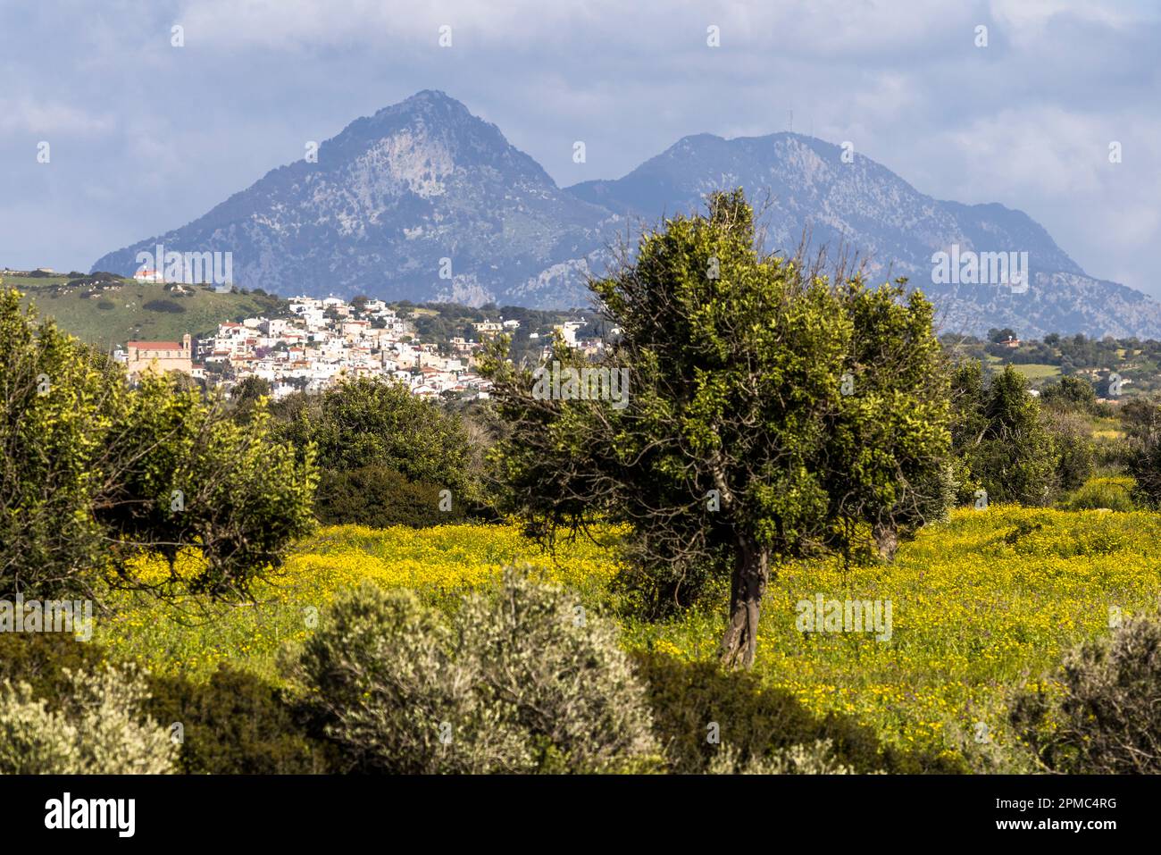 The village of Kormakitis / Korucam is located about 8 kilometers from ...