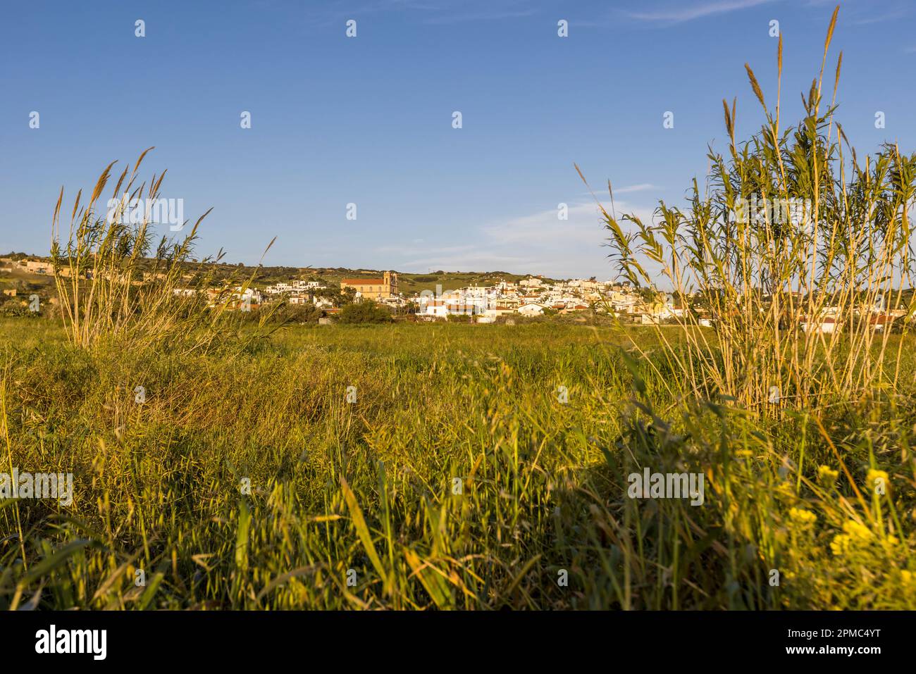 Wildlife in cyprus hi-res stock photography and images - Alamy