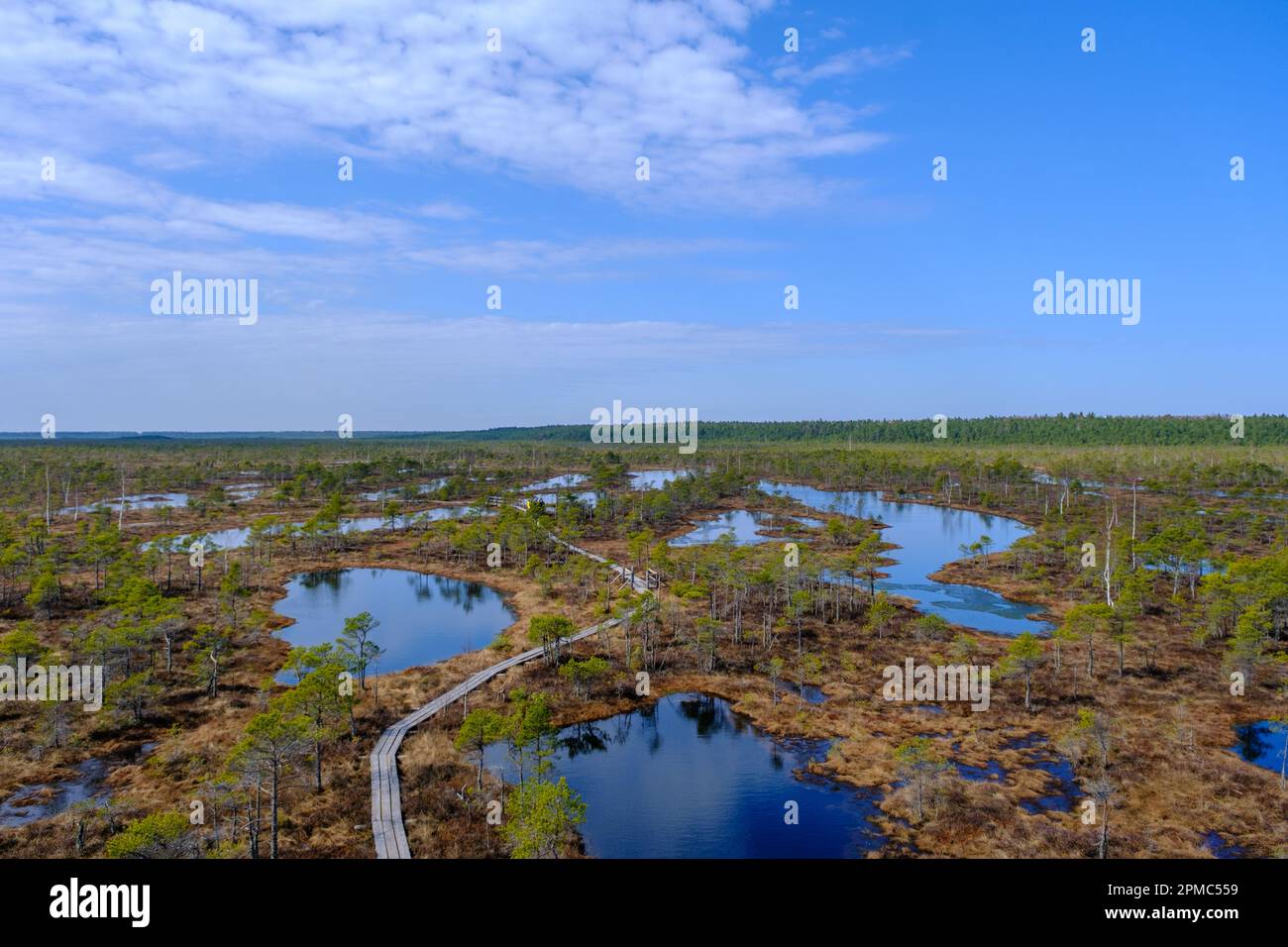 Kemeru swamp, national park with blue lake and trees, and bushes in ...