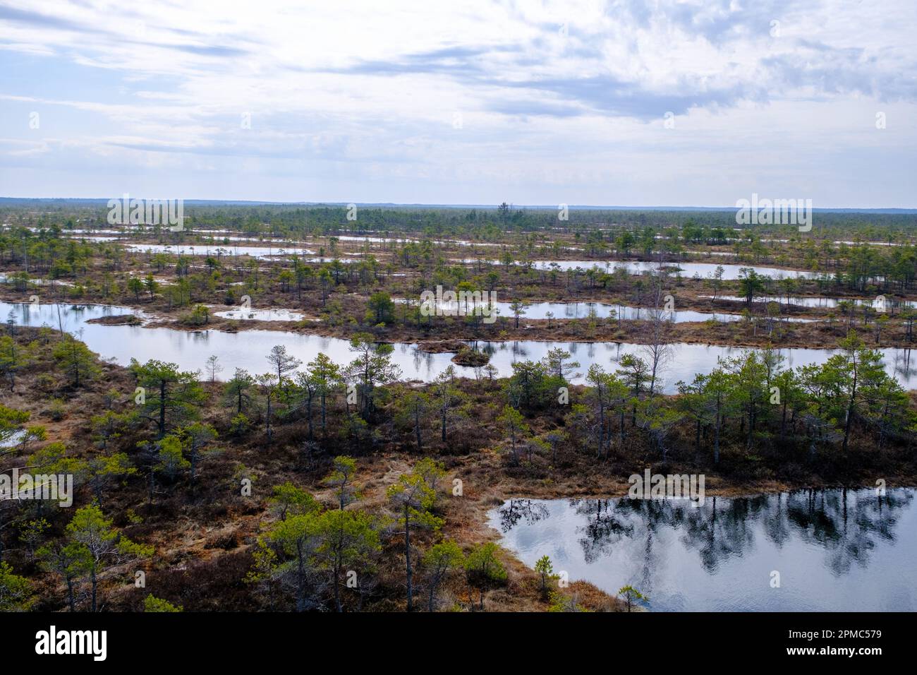 Kemeru swamp, national park with blue lake and trees, and bushes in ...