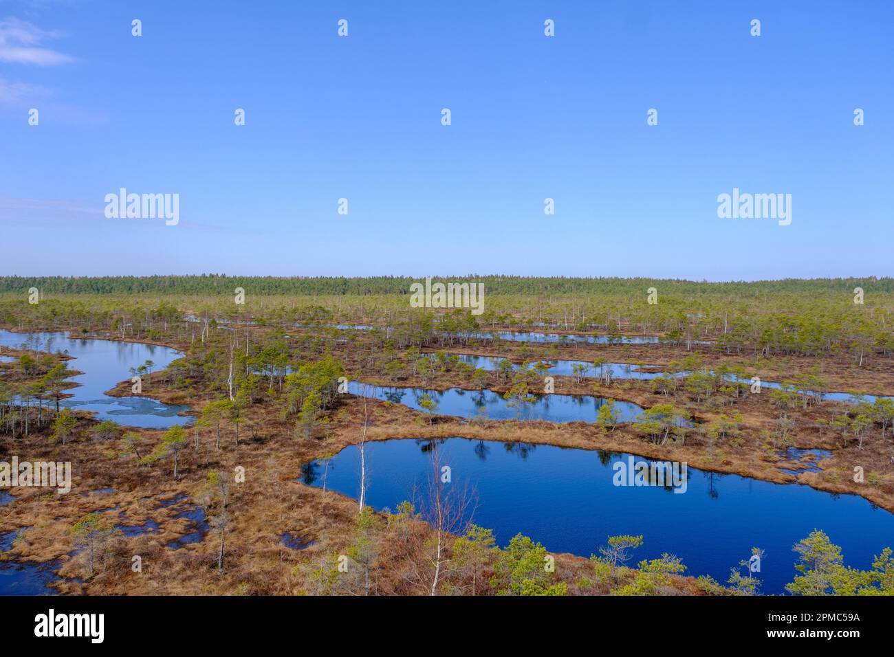Kemeru swamp, national park with blue lake and trees, and bushes in ...