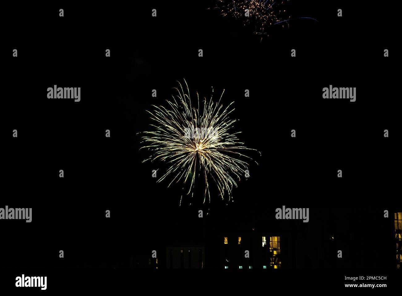 Yellow firework in a dark sky resembling flowers by tracing their light ...
