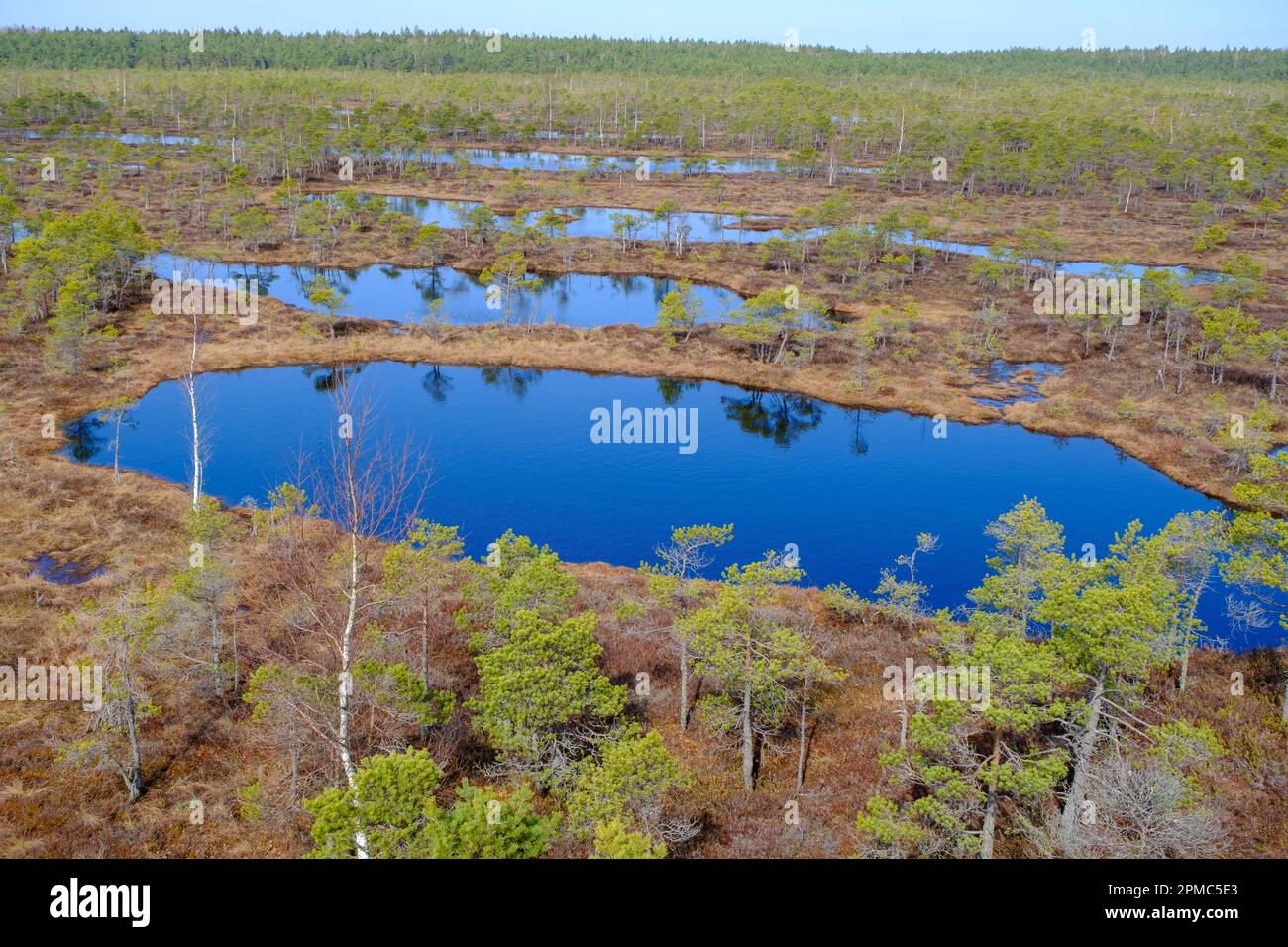 Kemeru swamp, national park with blue lake and trees, and bushes in ...