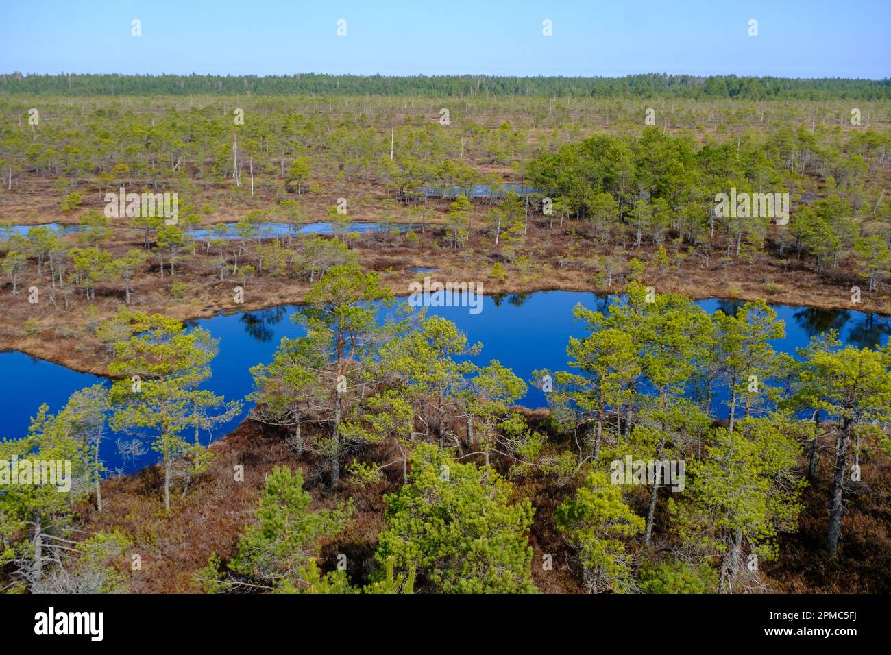 Kemeru swamp, national park with blue lake and trees, and bushes in ...