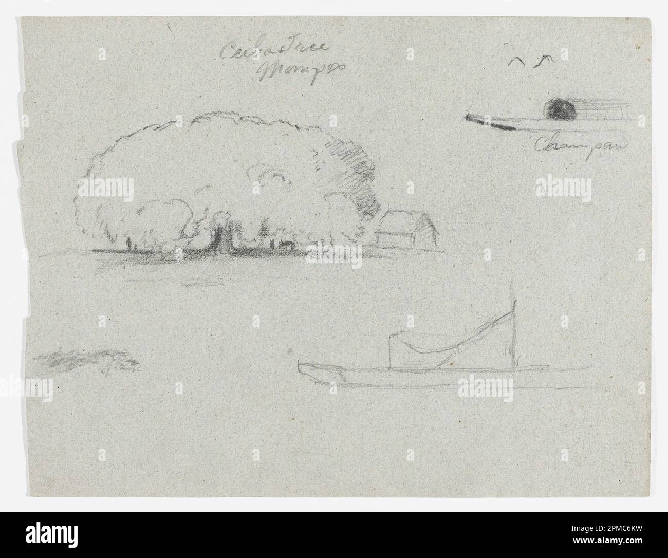 Drawing, Ceiba Tree at Mompos, Champan Canoe, Trees, and a Partial Boat ...