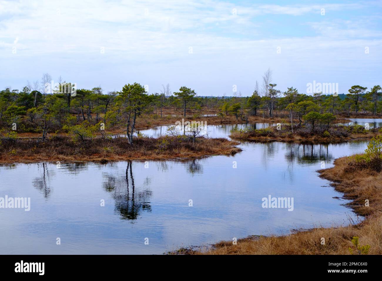 Kemeru swamp, national park with blue lake and trees, and bushes in ...