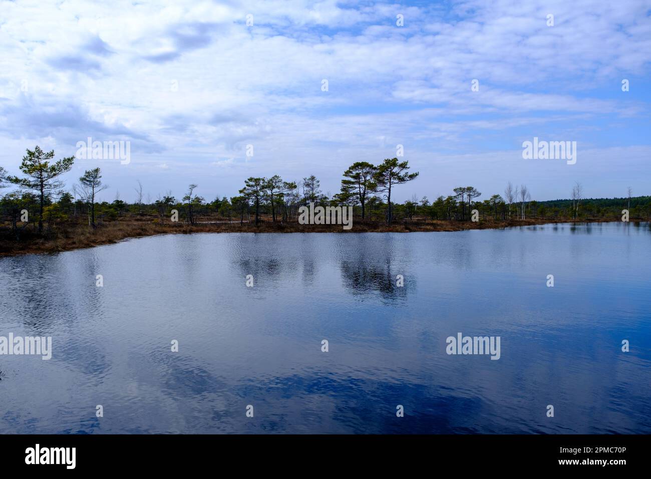 Kemeru swamp, national park with blue lake and trees, and bushes in ...