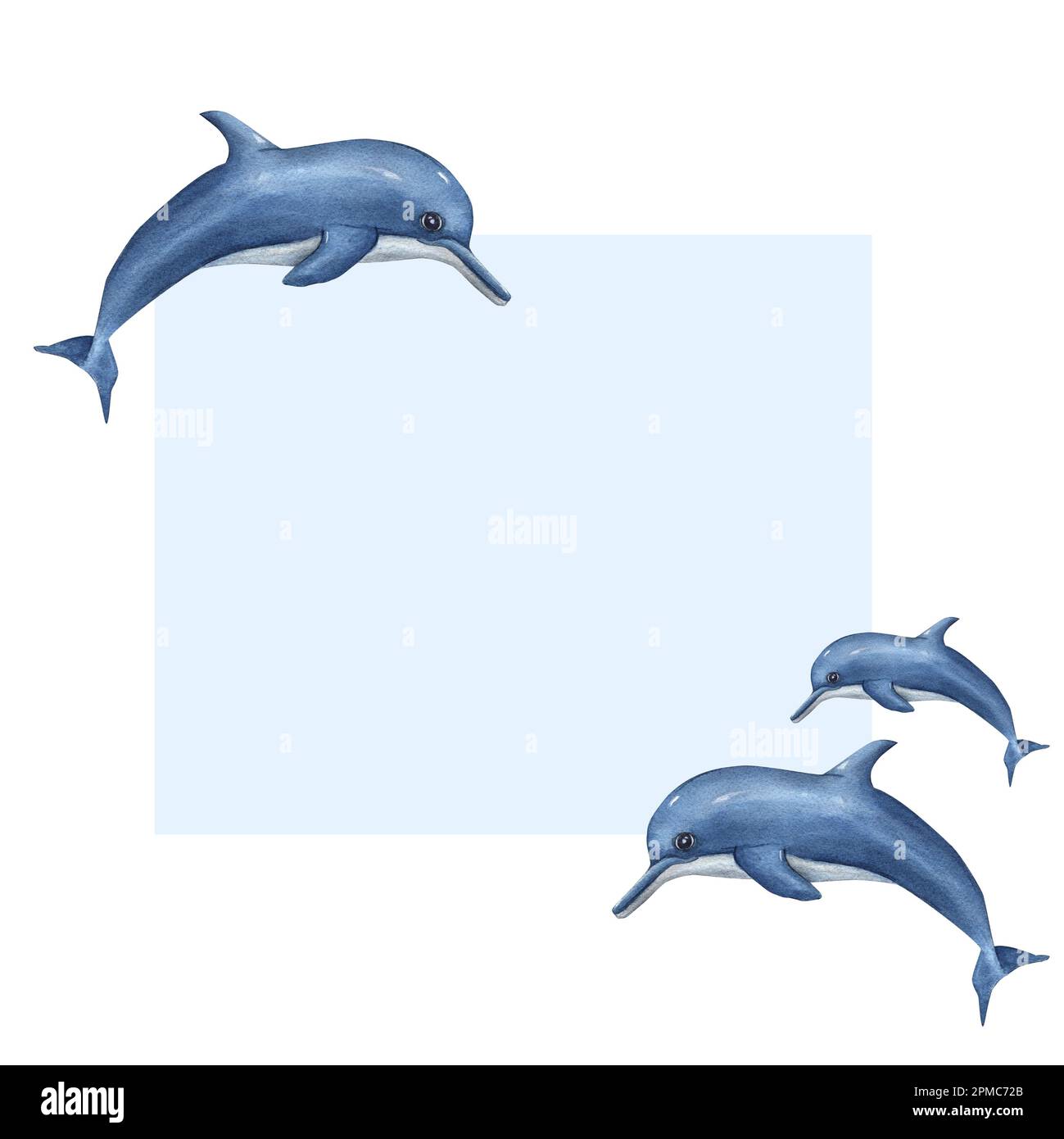 Watercolor marine card isolated on white background. Hand painted ...