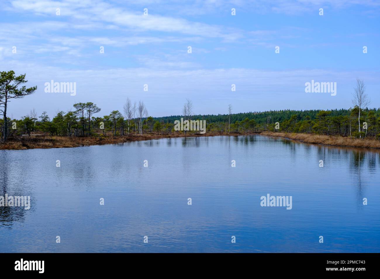 Kemeru swamp, national park with blue lake and trees, and bushes in ...