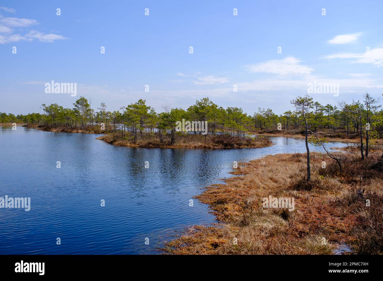 Kemeru swamp, national park with blue lake and trees, and bushes in ...